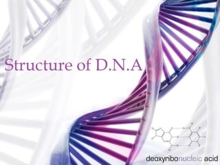 D.N.A. and it's structure | PPT