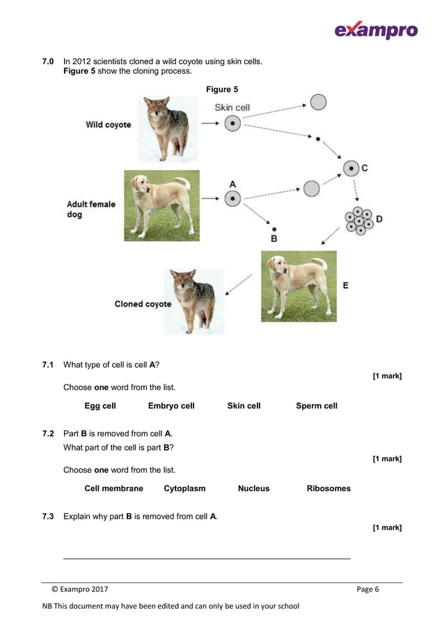 Biology_Separate_Inheritance F-R.pdf