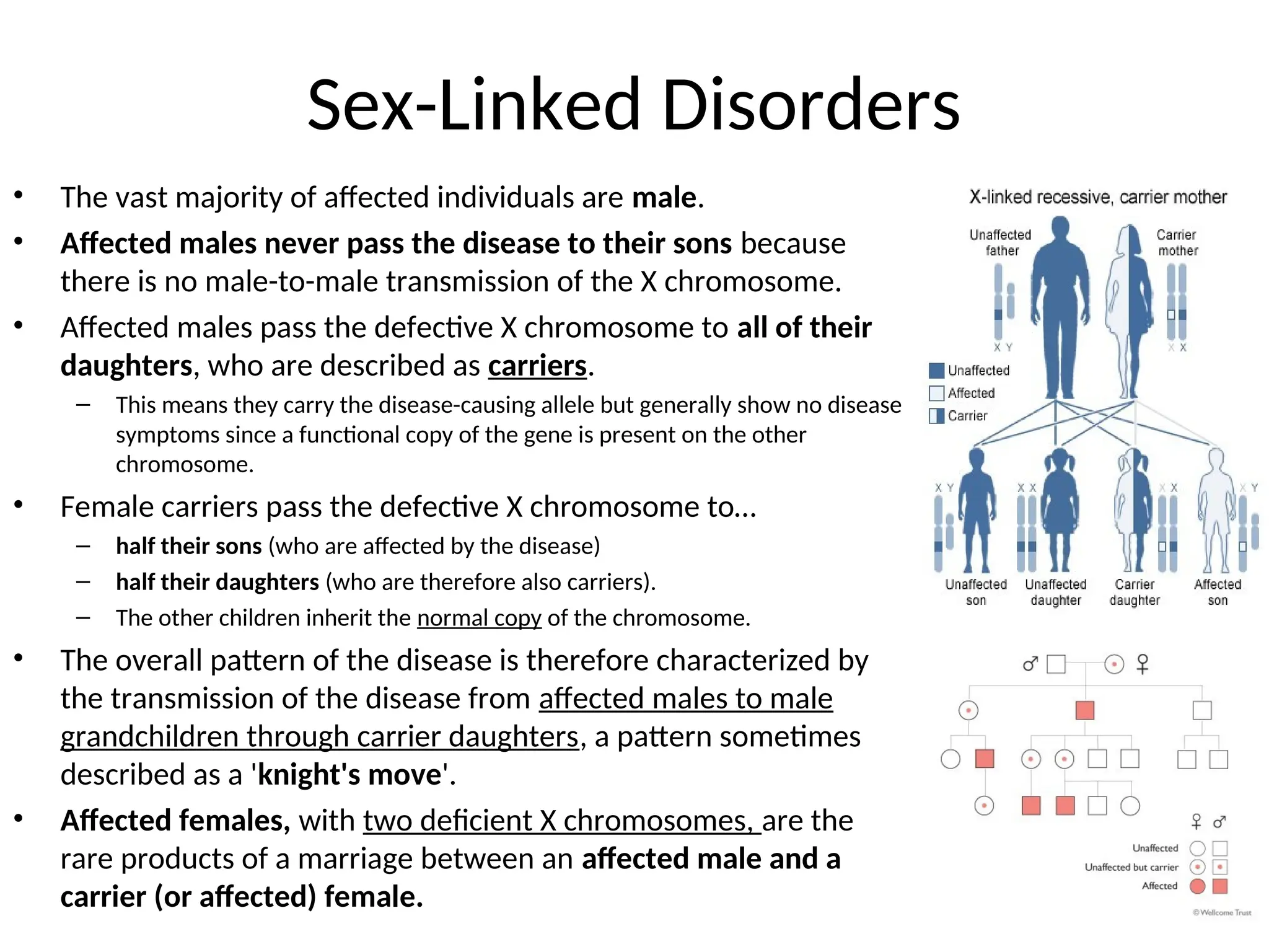 Biology Sexlinkedinheritance Inheritanceppppt 8233