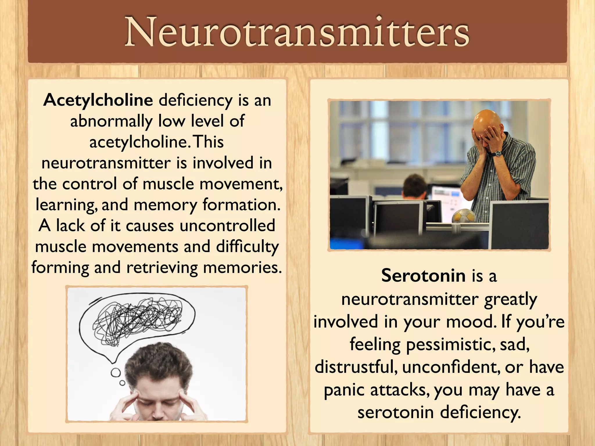 Psych: Neurotransmitters | PDF