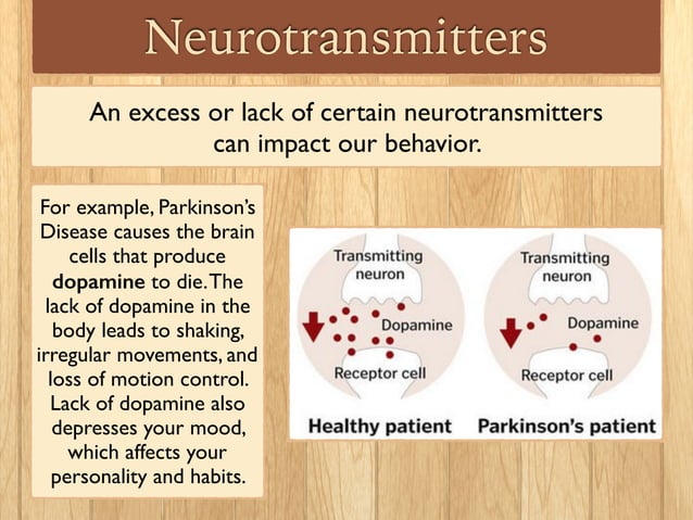 Psych: Neurotransmitters | PDF