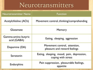 Neurotransmittersandtheirfunctions
