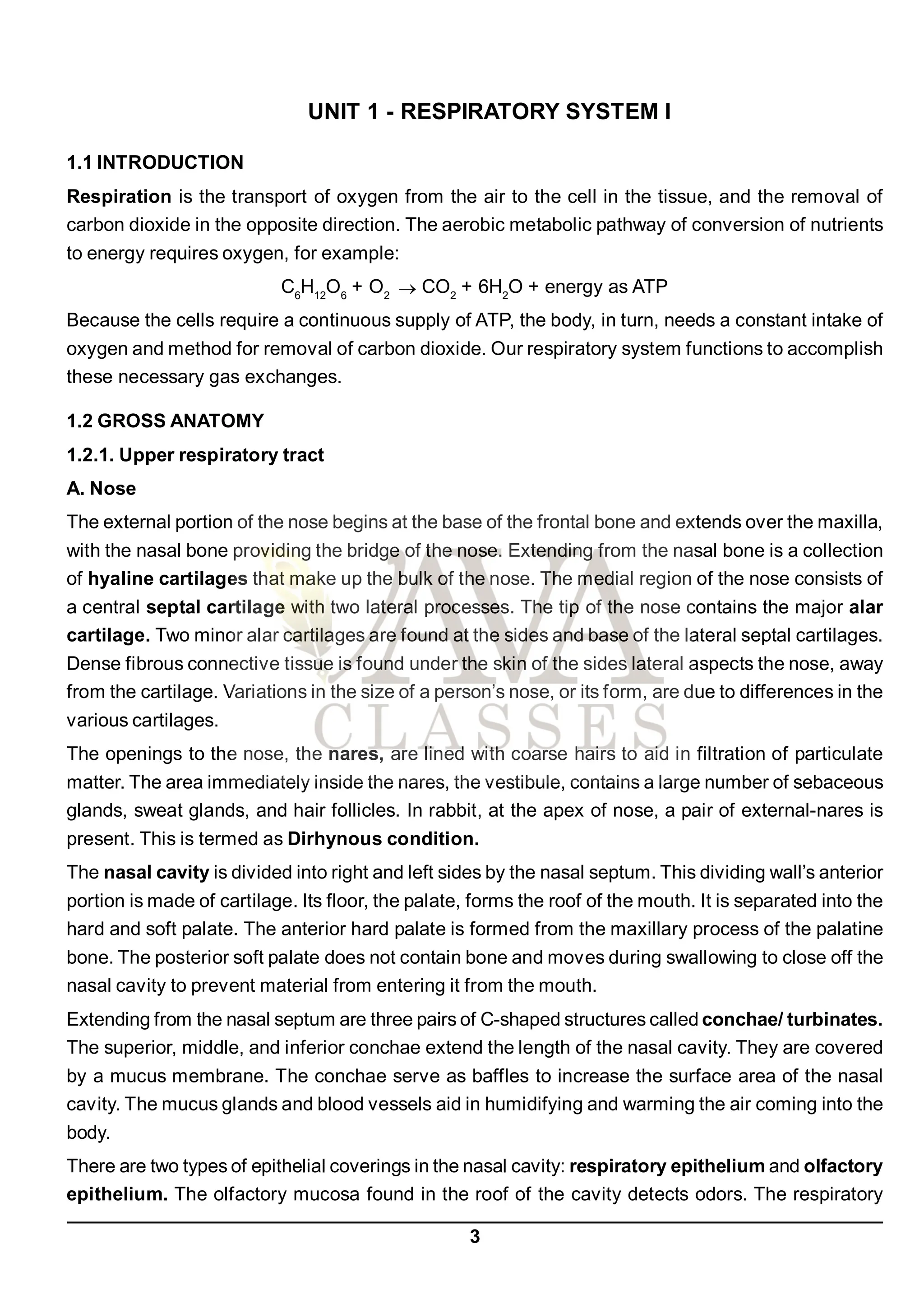 Body Fluids and Circulation Class 11 NCERT Solutions Study Material ...