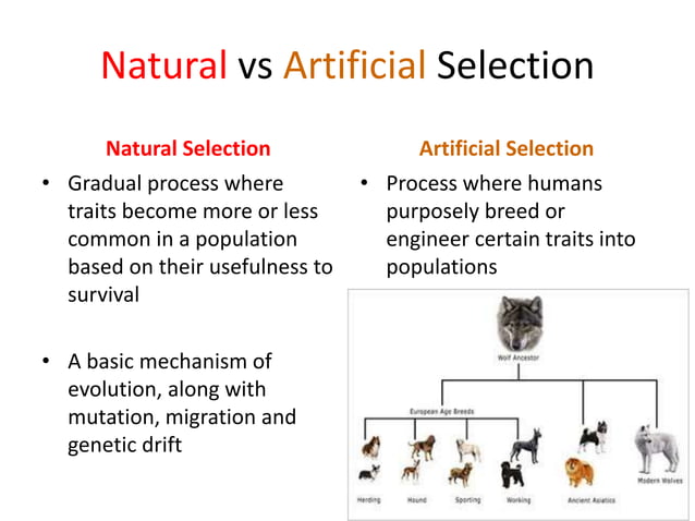 Biology sol review 2014 | PPT
