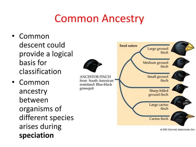 Biology sol review 2014 | PPT