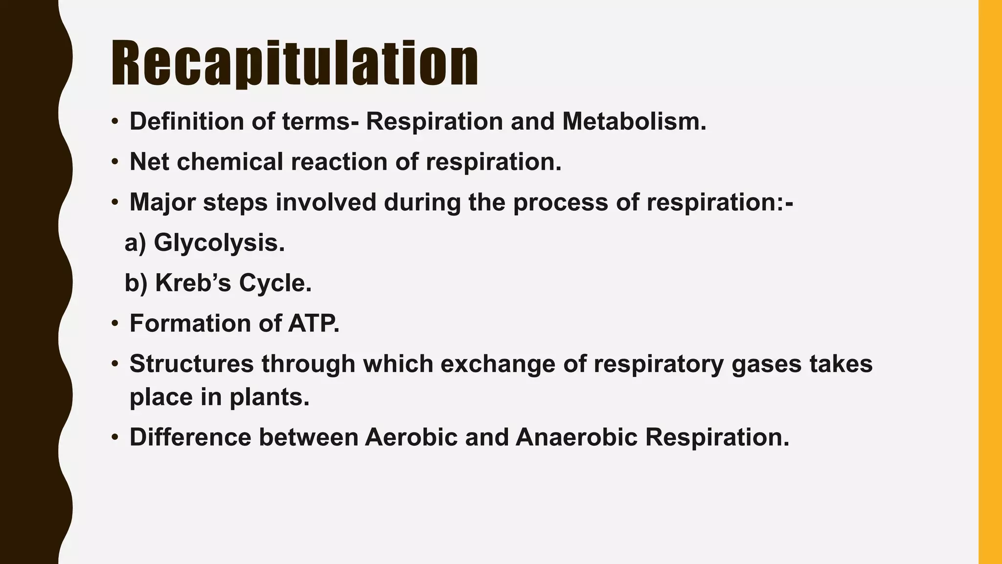 Respiration in plants.pptx