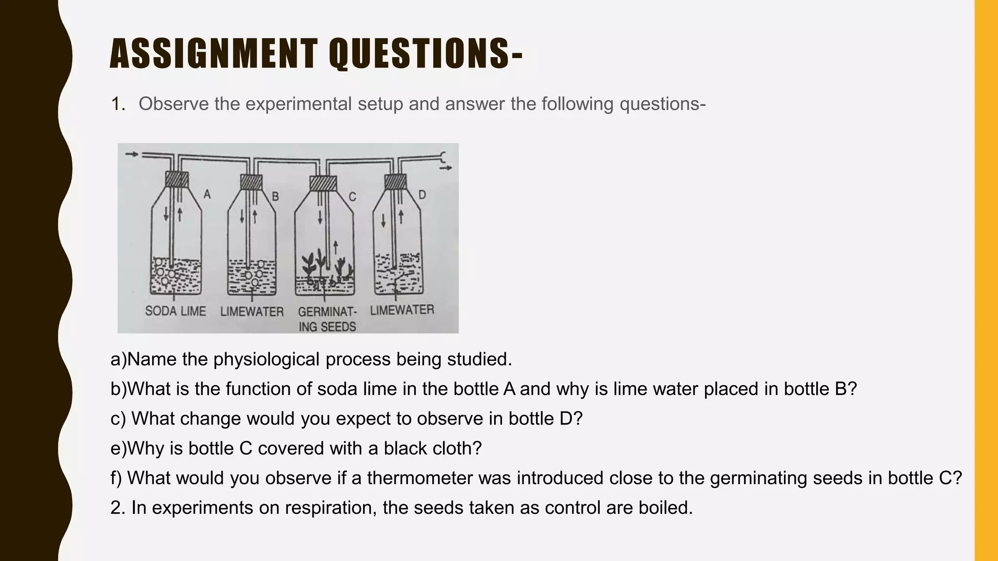 Respiration in plants.pptx