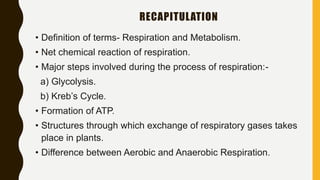 Respiration in plants.pptx