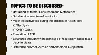 Respiration in plants.pptx