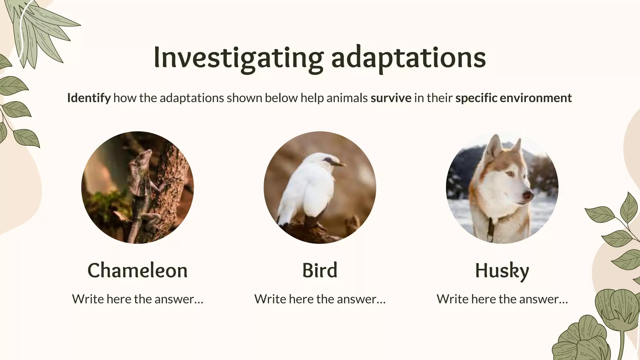 Biology Subject for High School_ Darwin's Theory of Natural Selection ...