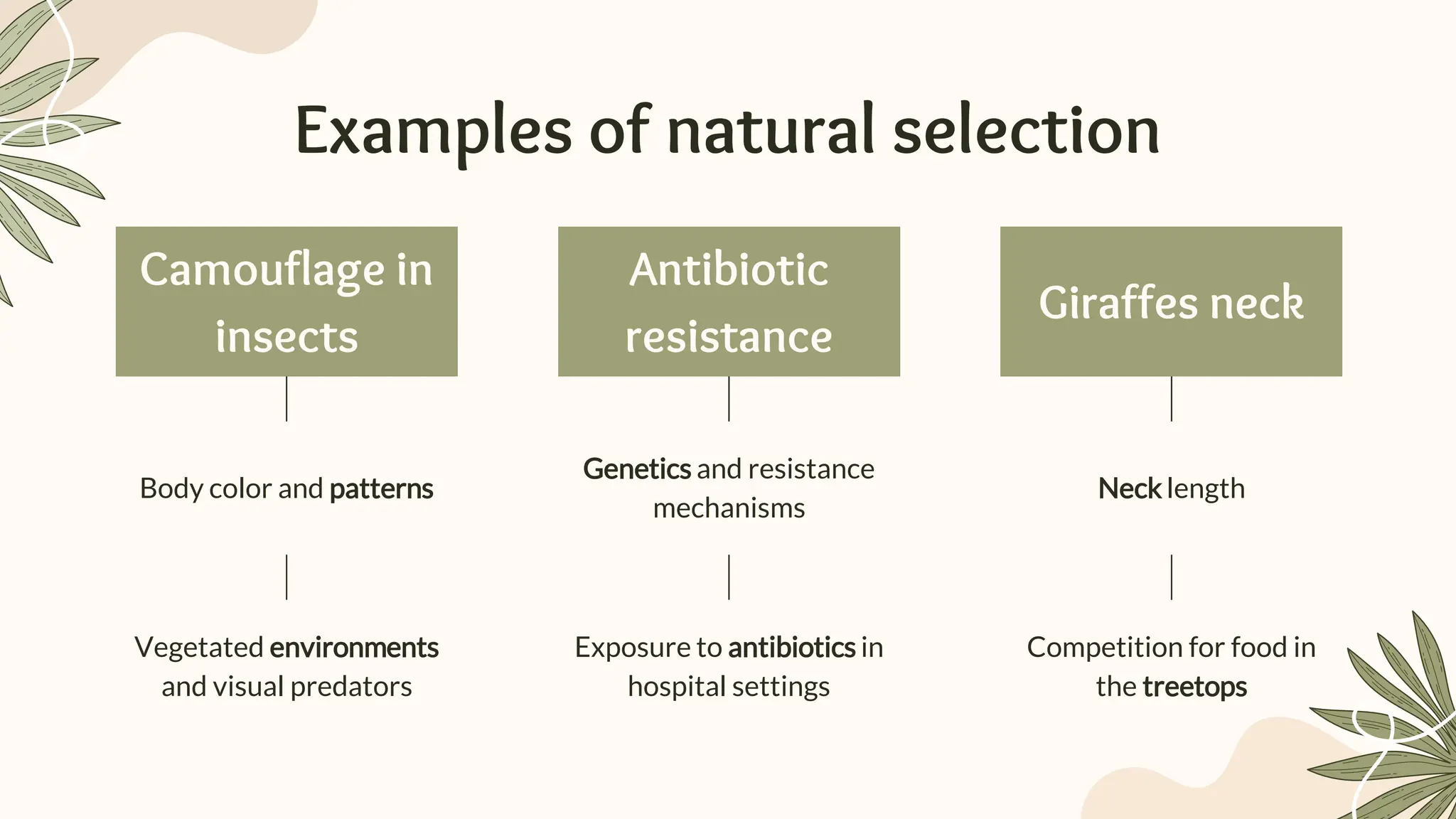 Biology Subject for High School_ Darwin's Theory of Natural Selection ...