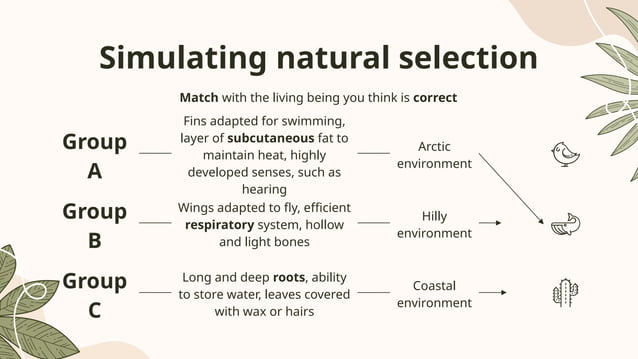 Biology Subject for High School_ Darwin's Theory of Natural Selection ...
