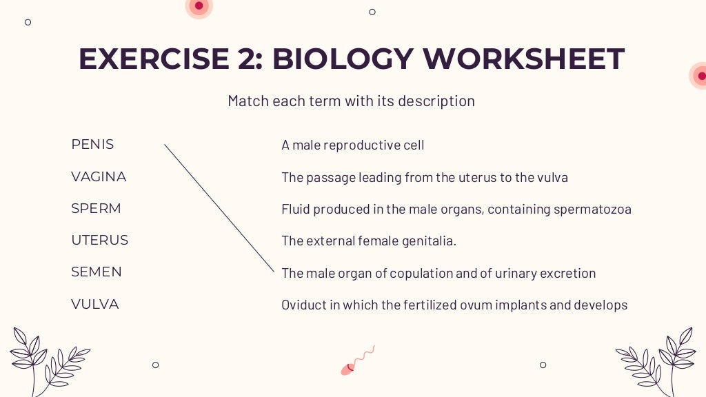 Biology Subject for High School_ Human Reproduction by Slidesgo.pptx
