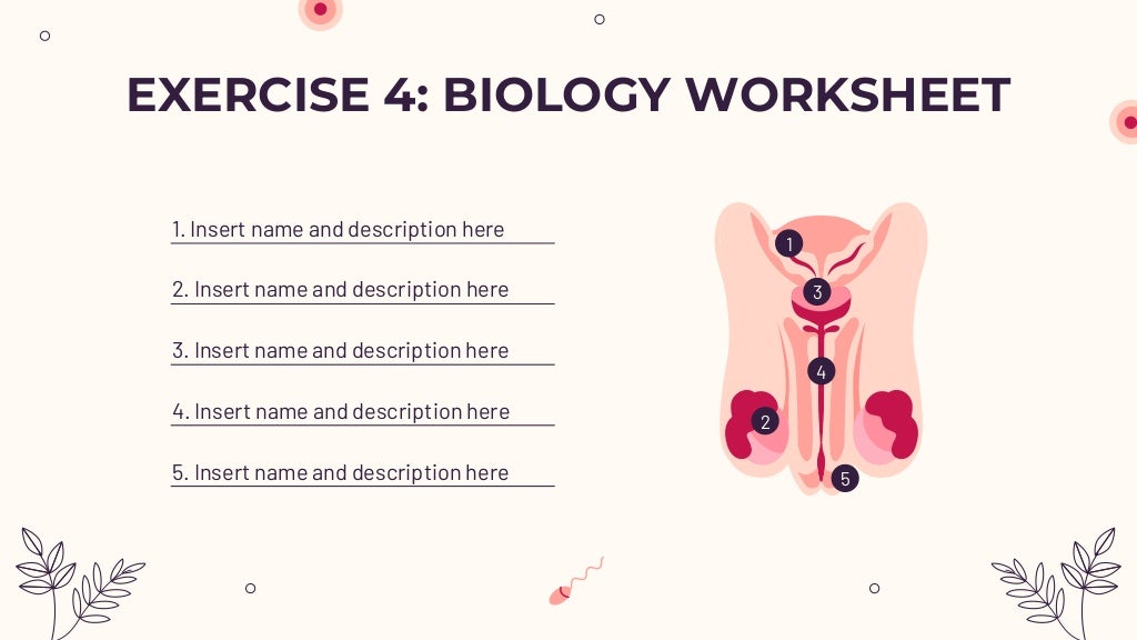 Biology Subject for High School_ Human Reproduction by Slidesgo.pptx
