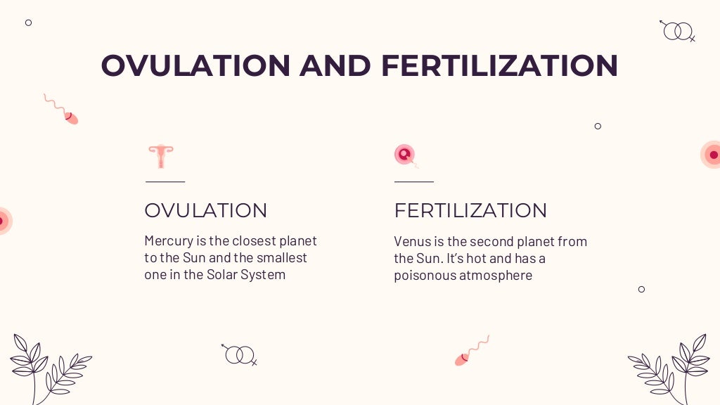 Biology Subject for High School_ Human Reproduction by Slidesgo.pptx