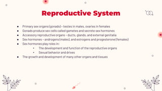 Biology Subject for High School Human Reproduction by Slidesgo.pptx