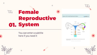 Biology Subject for High School Human Reproduction by Slidesgo.pptx
