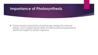 biology photosynthesis.pptx free download | PPTX