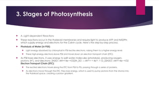 biology photosynthesis.pptx free download | PPTX