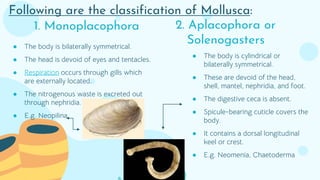 Biology Project.pptx