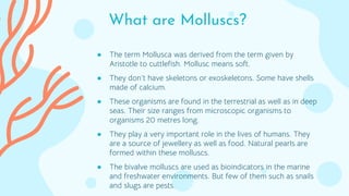 Biology Project.pptx