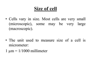 Biology theory 2 | PPTX