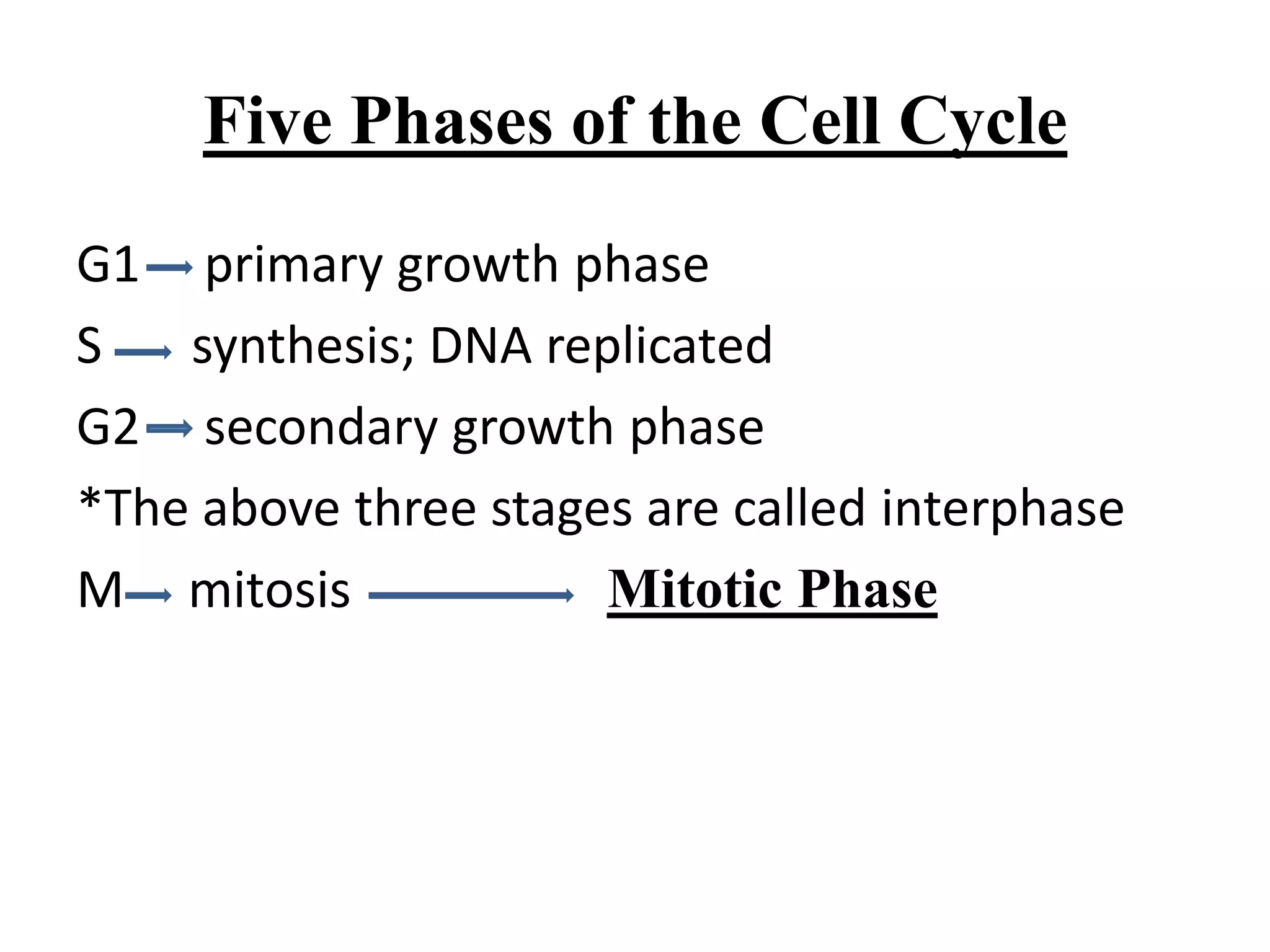 Biology theory 4: cell division and cell cycle | PPT