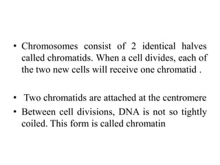 Biology theory 4: cell division and cell cycle | PPT