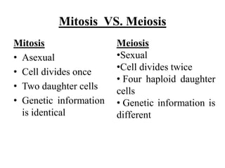 Biology theory 5 (cell division in Eukaryotic cell) | PPT