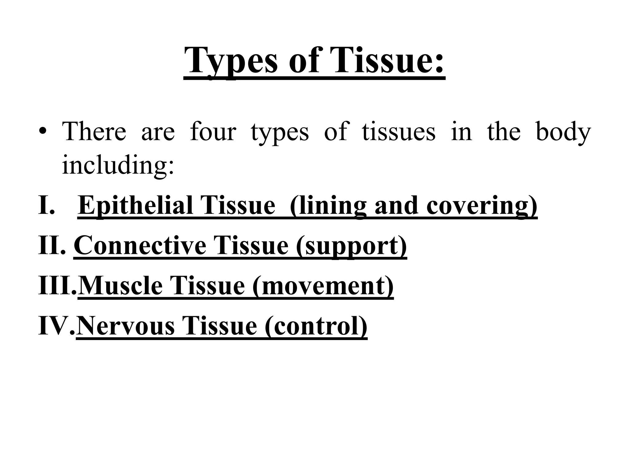 Tissue: Epithelial tissue | PDF