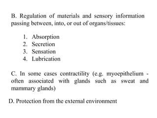 Tissue: Epithelial tissue | PDF