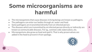 Microorganisms - Friend or foe | PPTX