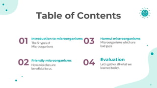 Microorganisms - Friend or foe | PPTX