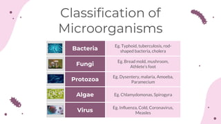 Microorganisms - Friend or foe | PPTX
