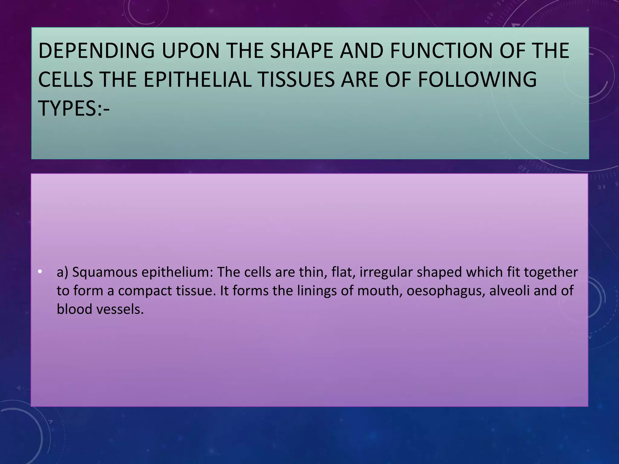 chapter 6 Tissue class 9th biology | PPTX