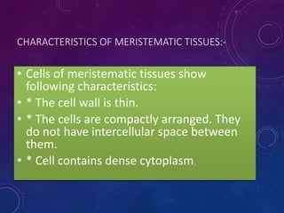 chapter 6 Tissue class 9th biology | PPTX