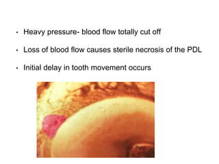 Biology tooth movement.pptx