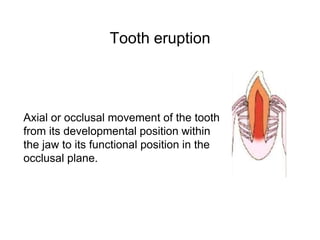 Biology tooth movement.pptx | Dental Health | Diseases and Conditions