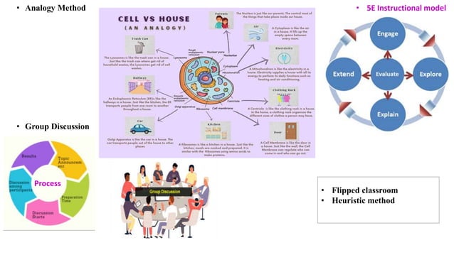 Biology training Module for High School Teachers ppt.pptx ...