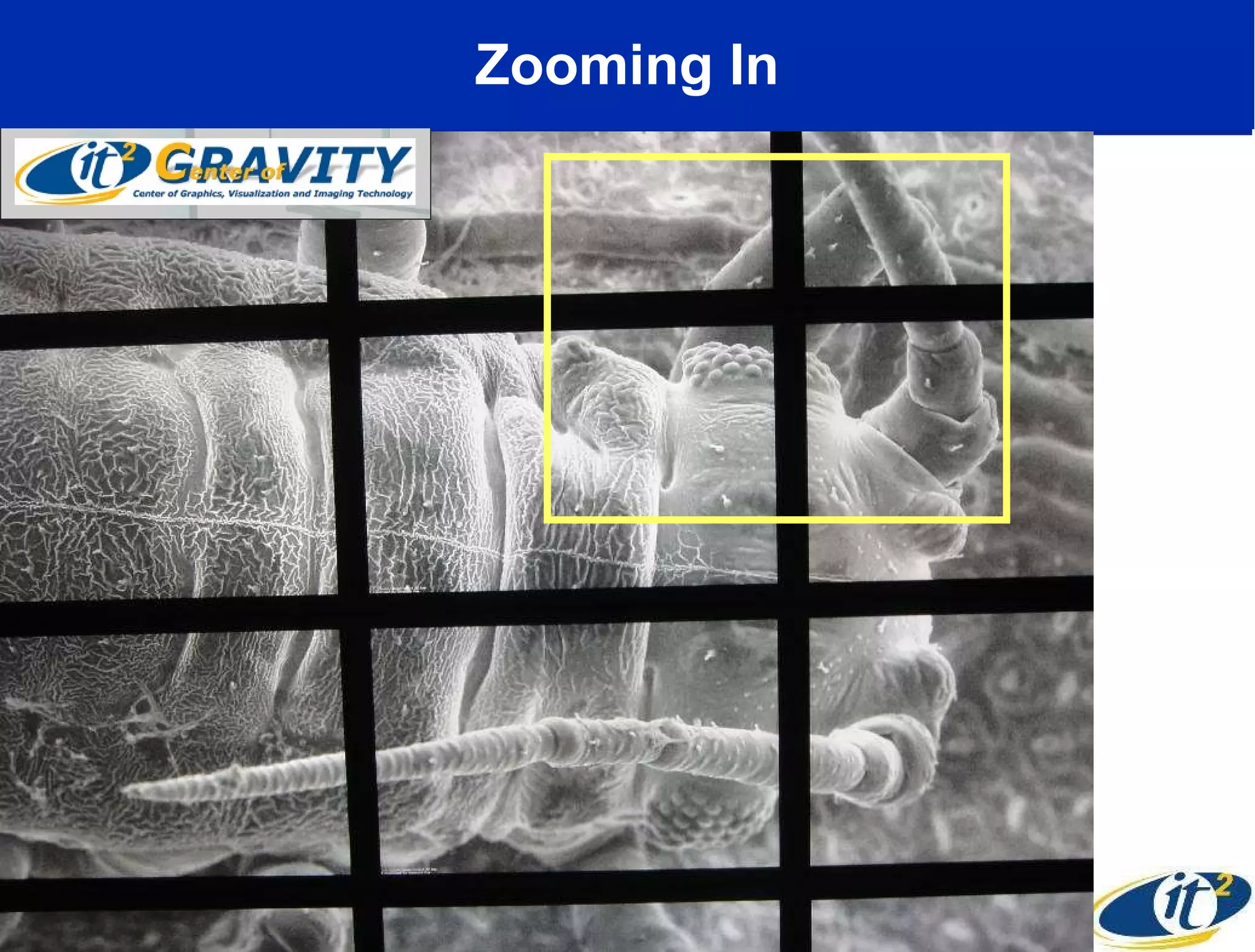 Microbial Metagenomics Drives a New Cyberinfrastructure | PPT