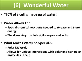 Biology unit 1 biochemistry characteristics of life and biomolecules ...