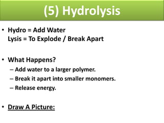Biology: Unit 1 Biochemistry Enzymes and Cellular Reactions | PPT