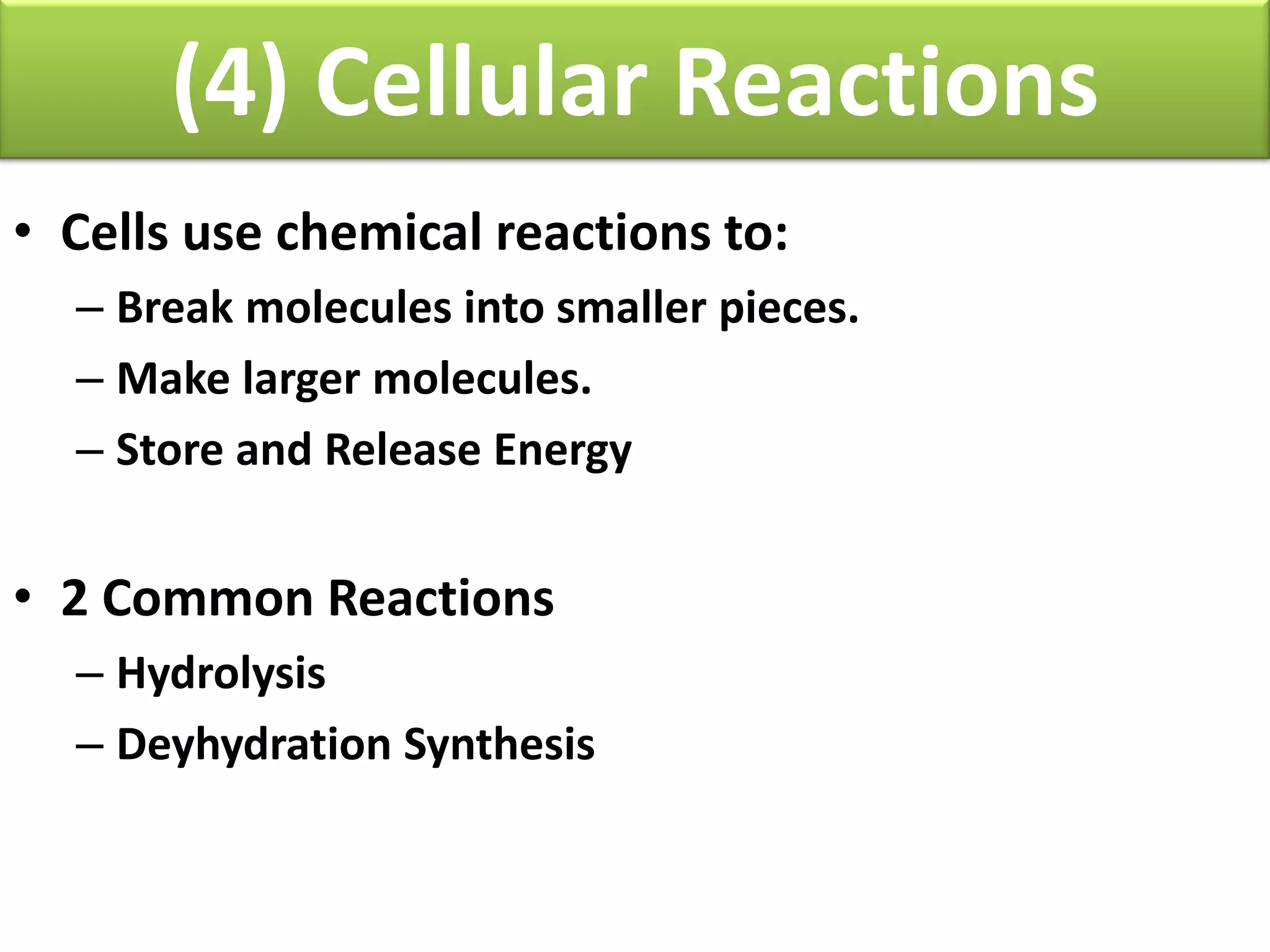 Biology unit 1 biochemistry enzymes and cellular reactions notes | PPTX
