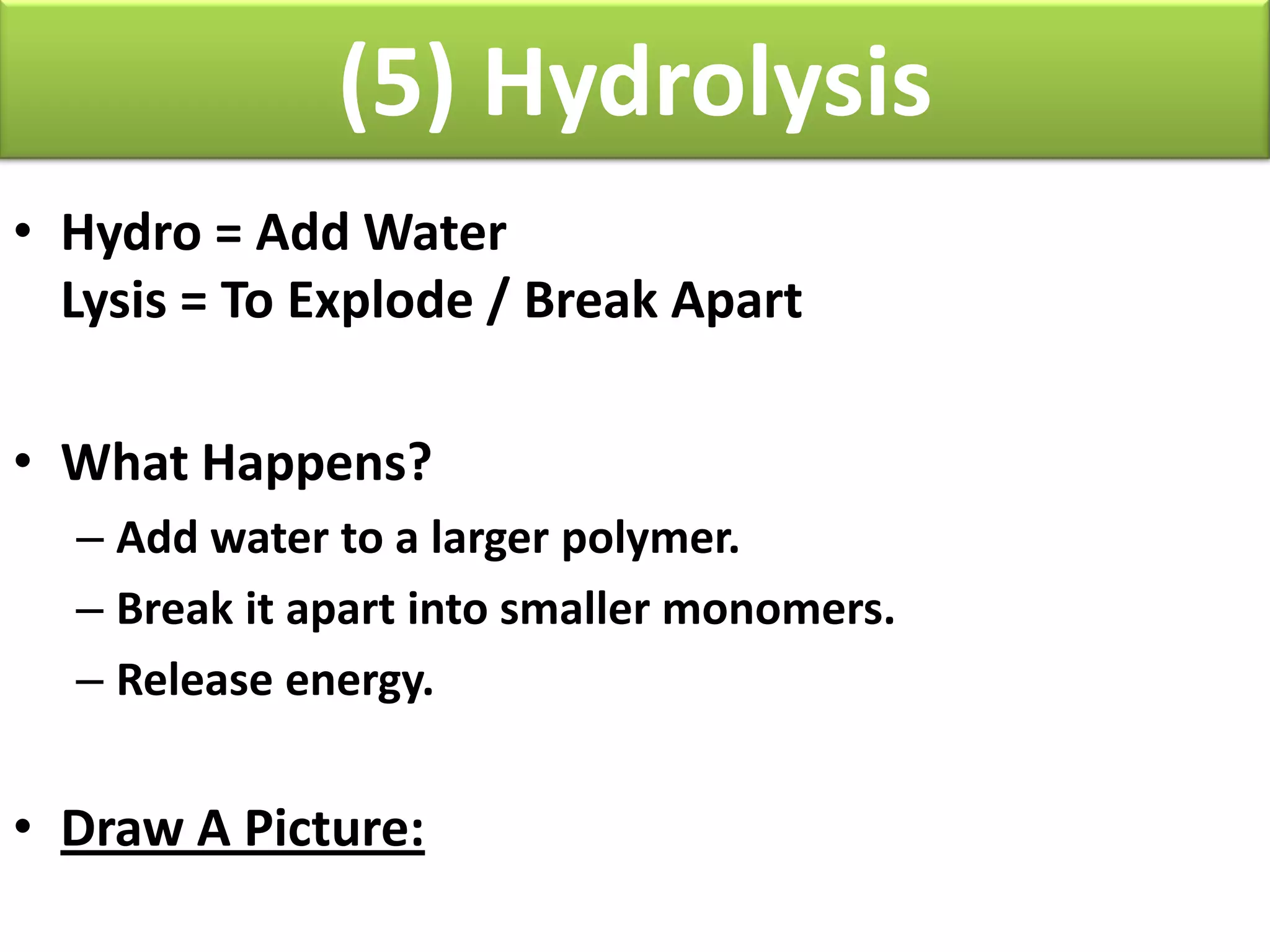 Biology unit 1 biochemistry enzymes and cellular reactions notes | PPTX
