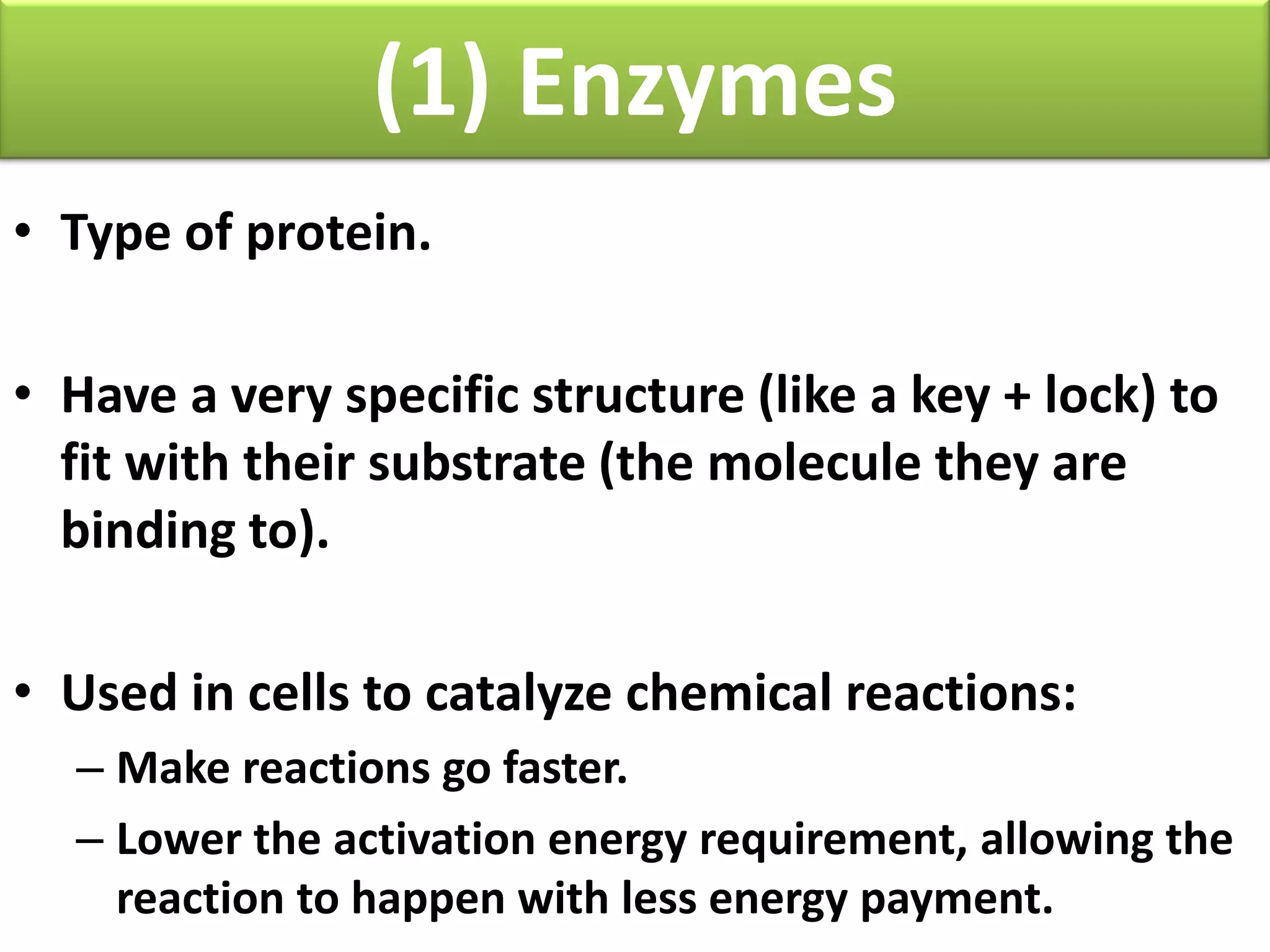 Biology unit 1 biochemistry enzymes and cellular reactions notes | PPTX