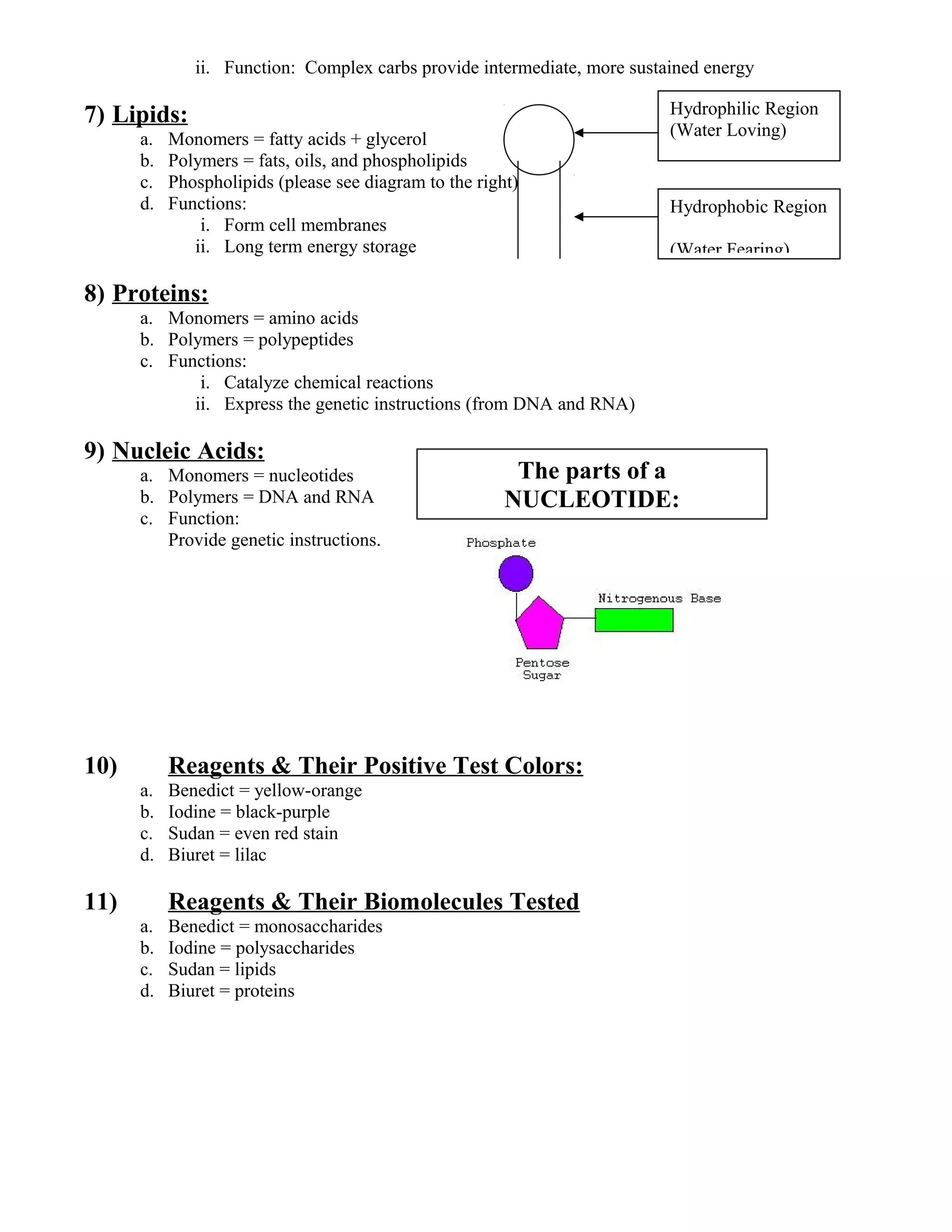 Biology unit 1 biochemistry exam everything you need to know | DOC