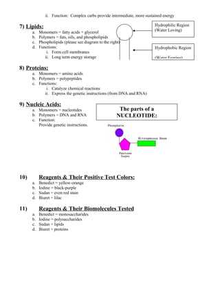 Biology unit 1 biochemistry exam everything you need to know | DOC