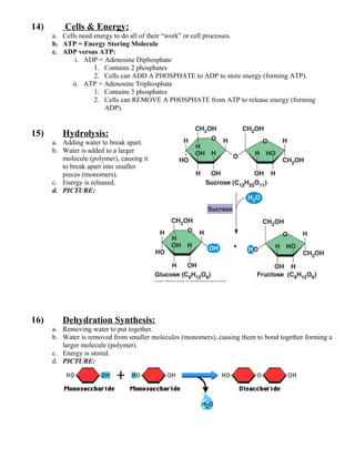 Biology unit 1 biochemistry exam everything you need to know | DOC