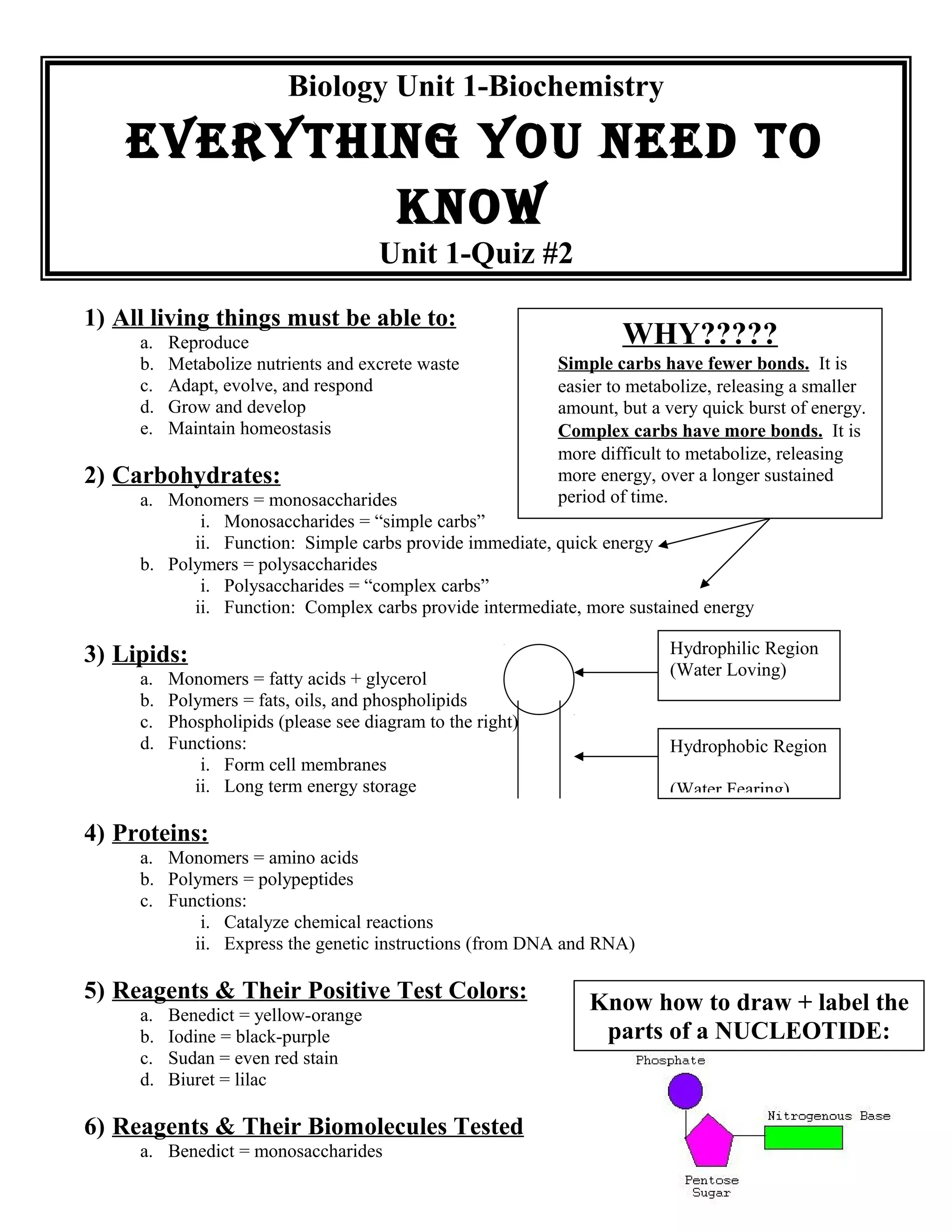 Biology unit 1 biochemistry quiz 2 everything you need to know | DOC ...