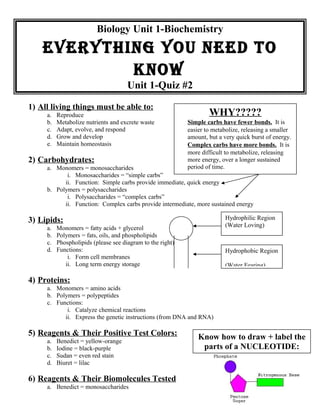 Biology unit 1 biochemistry quiz 2 everything you need to know | DOC ...